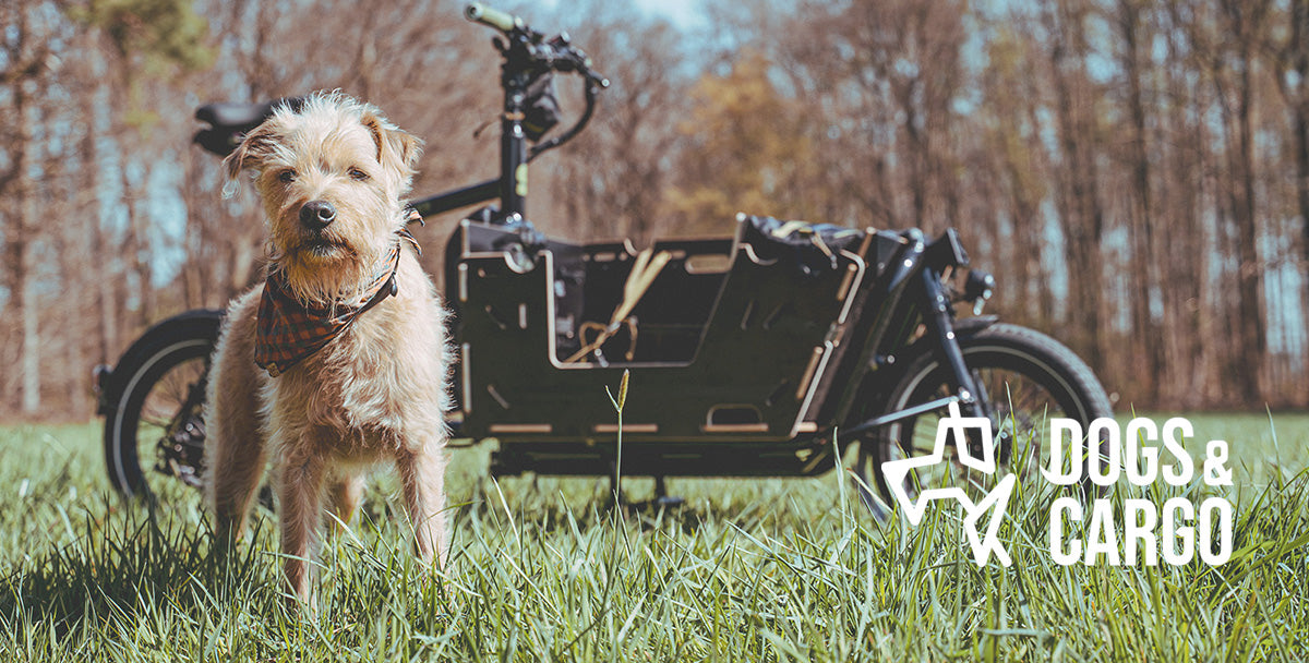 Dogs 'n Cargo – Dogs 'n Cargo